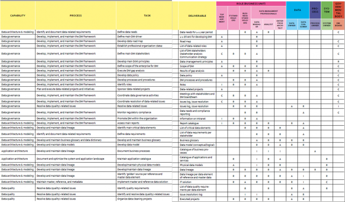 Designing Data Management and Data Governance Roles - Data Crossroads